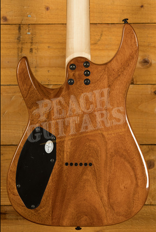 Schecter C-6 Pro | Aurora Burst