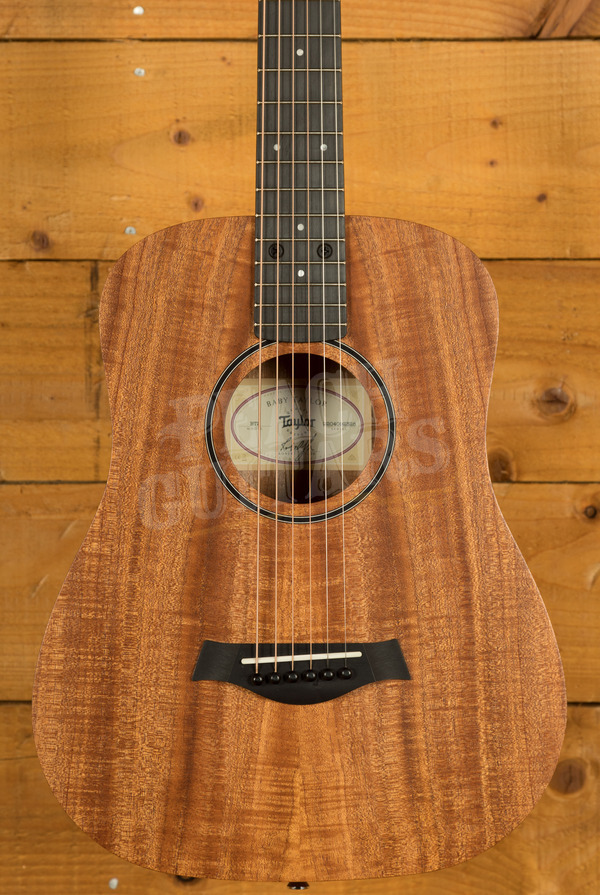 Taylor Baby Series | Baby Mahogany (BT2)