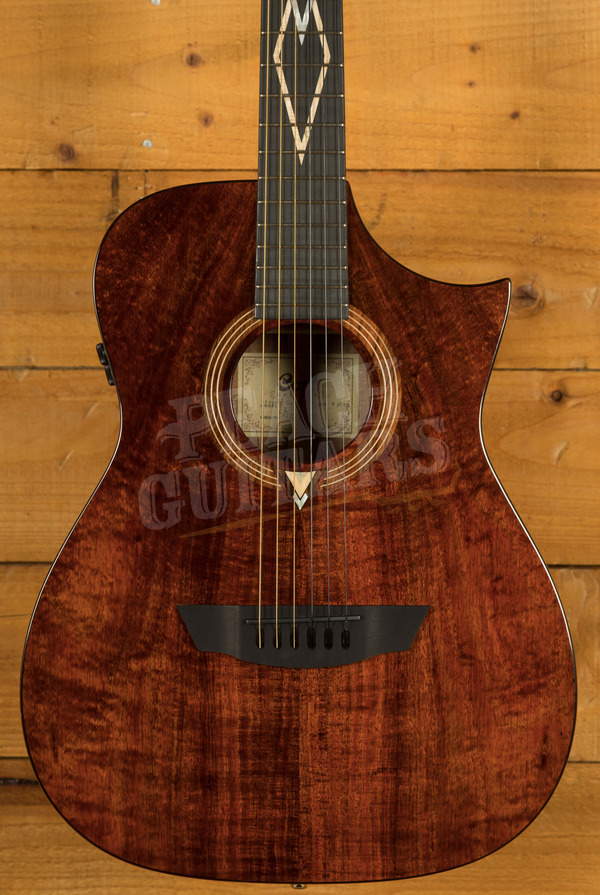 Cort Acoustics Frank Gambale LUXE Series | LUXE Nylon - Brown Glossy