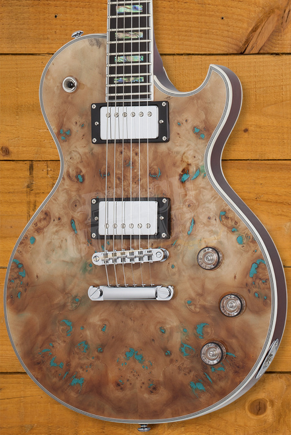 Schecter Solo-II Custom | Gloss Natural Burl Top