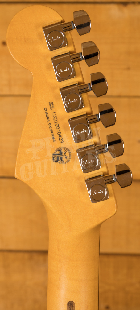 Fender Professional II Stratocaster Roasted Pine Rosewood - Peach Guitars