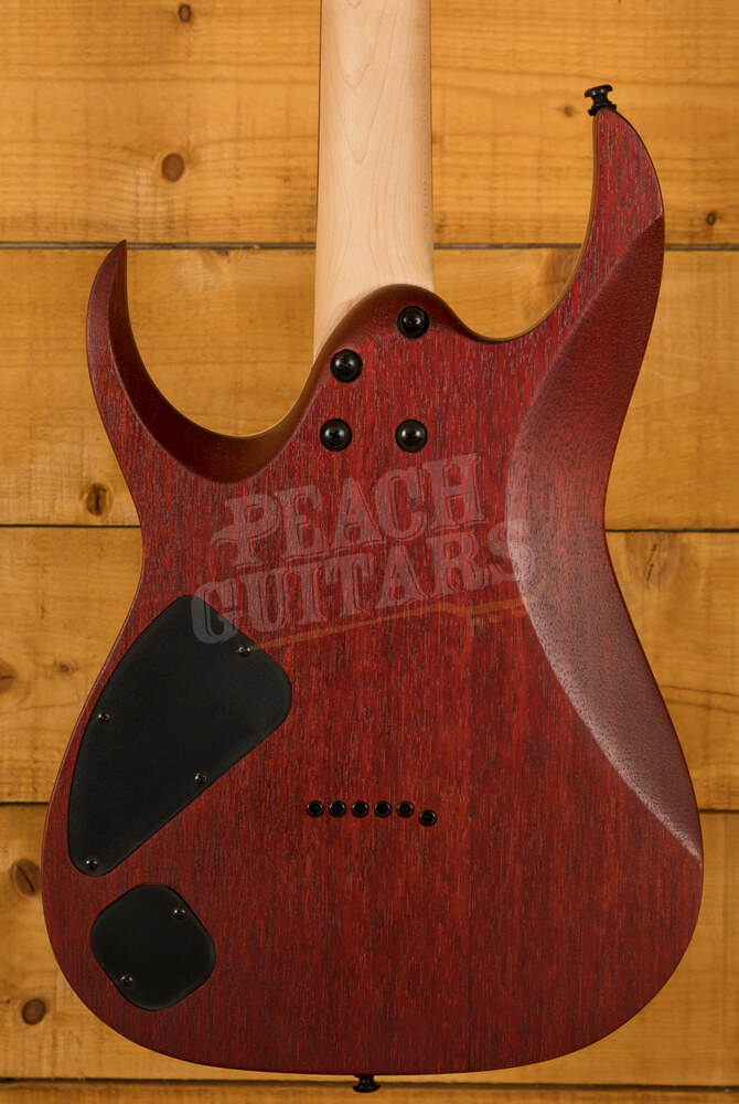 Ibanez RGA Standard | RGA42FM - Transparent Grey Flat