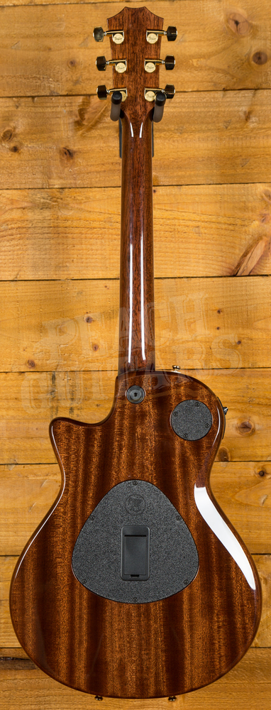 Taylor T5z Custom Limited Roadshow Limited