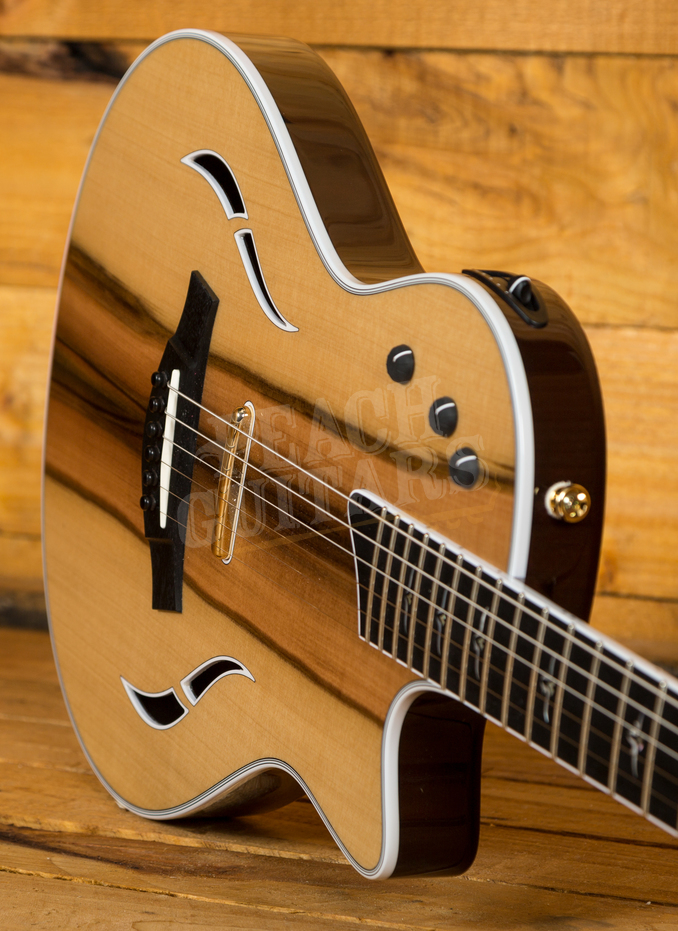 Taylor T5z Custom Limited Roadshow Limited