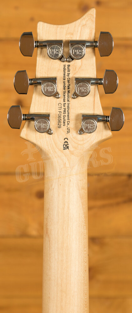PRS SE Specialty | Swamp Ash Special - Charcoal *2024*