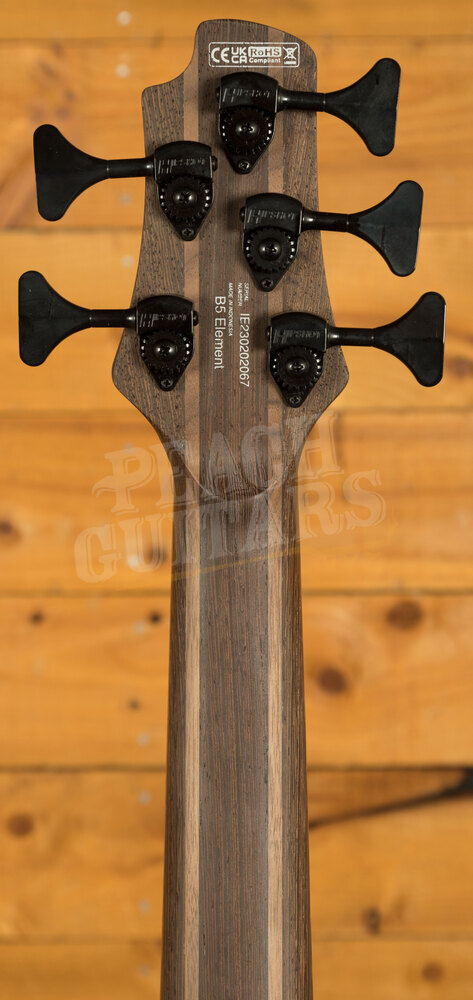 Cort Basses Artisan Series | B5 Element - 5-String - Open Pore Natural