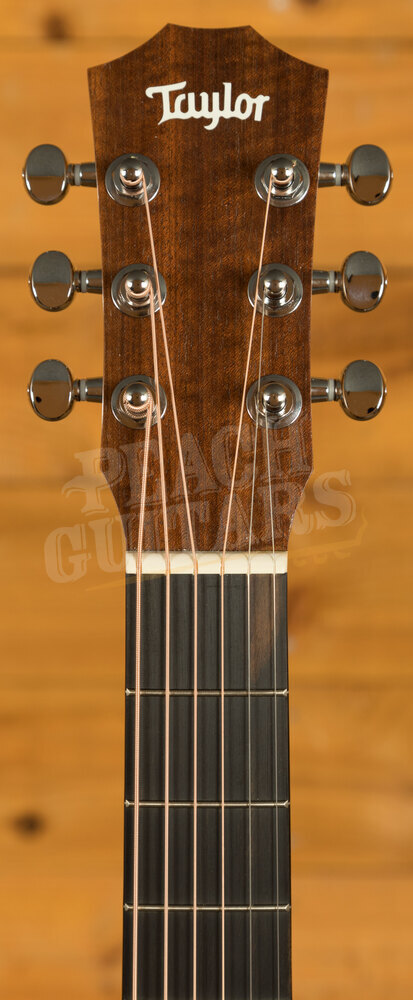 Taylor Baby Series | Baby Mahogany (BT2)