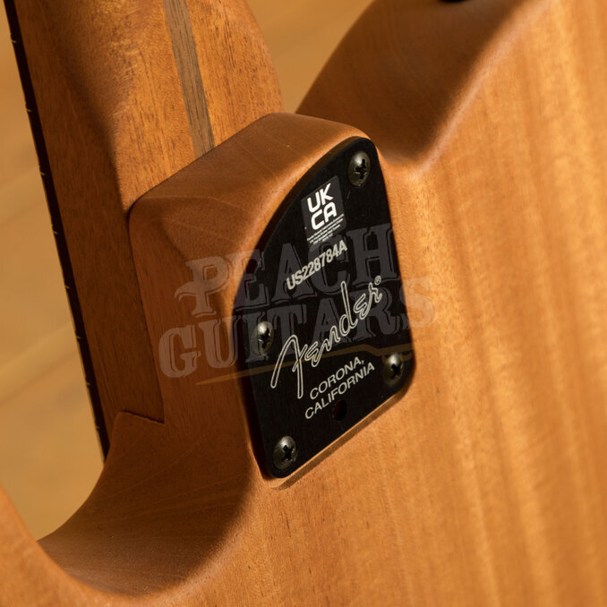 Fender American Acoustasonic Telecaster | Limited Edition - Blue Paisley