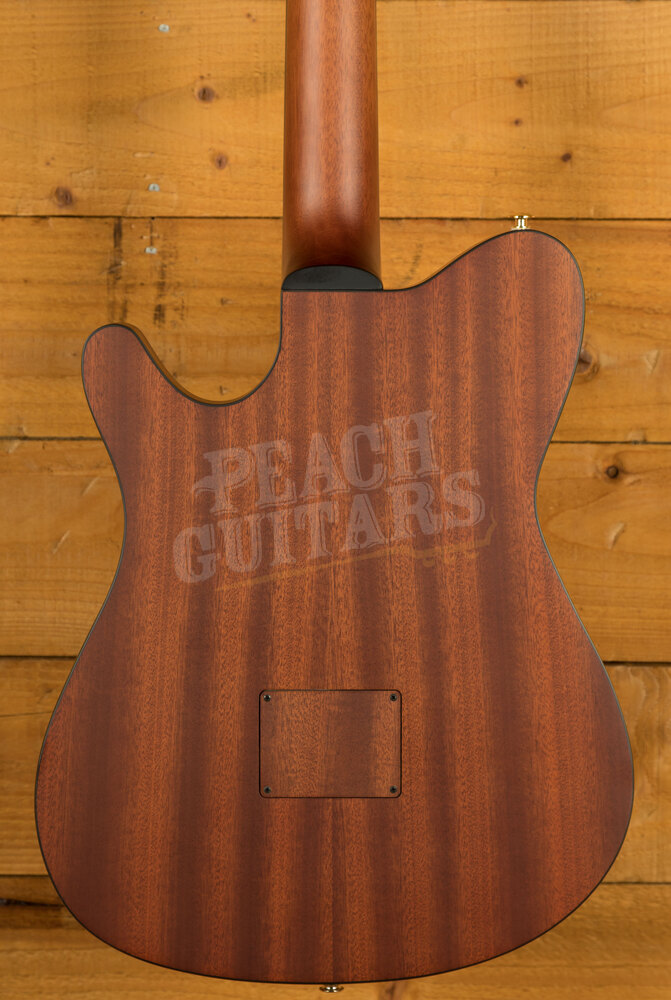 Ibanez FRH Acoustic Guitars | FRH10N - Electro-Nylon - Brown Sunburst Flat