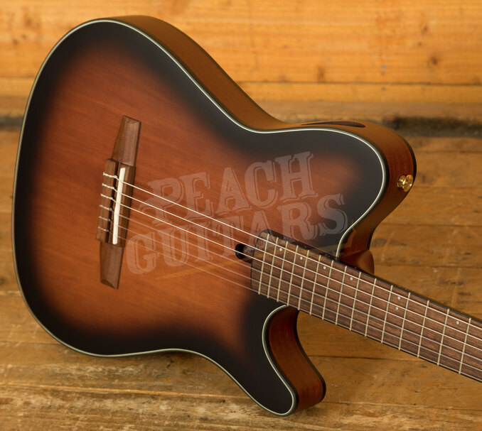 Ibanez FRH Acoustic Guitars | FRH10N - Electro-Nylon - Brown Sunburst Flat