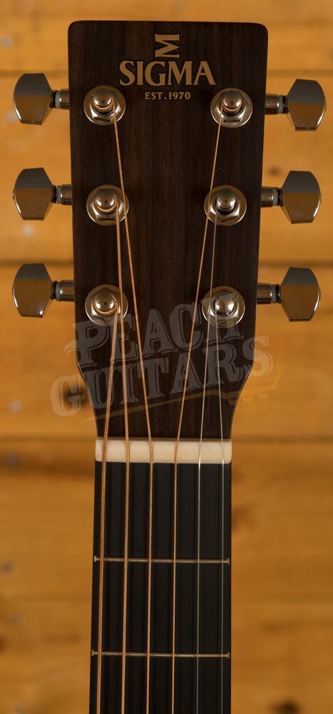 Sigma SIG-TM-15E w /Fishman isys-T & Gigbag