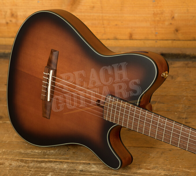 Ibanez FRH Acoustic Guitars | FRH10N - Electro-Nylon - Brown Sunburst Flat