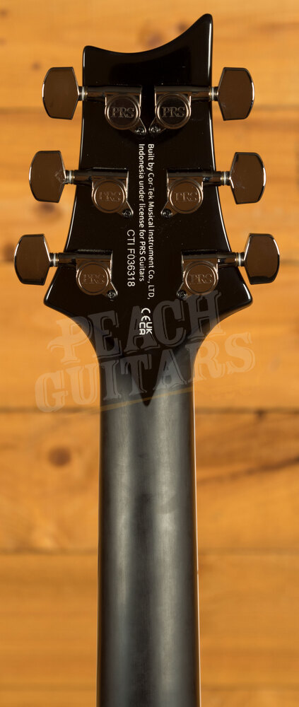 PRS SE Signature | SE Mark Holcomb - Holcomb Blue Burst