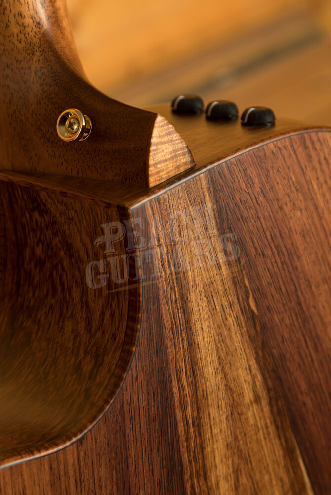 Taylor Custom | Custom #12442: Grand Concert 12-Fret