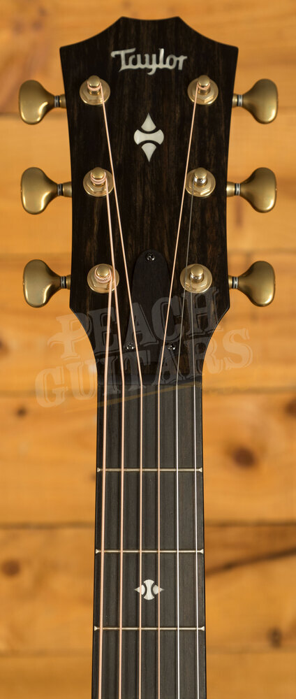 Taylor 300 Series | Builder's Edition 324ce