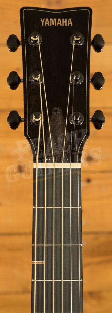 Yamaha FG Series | FG9 R - Natural