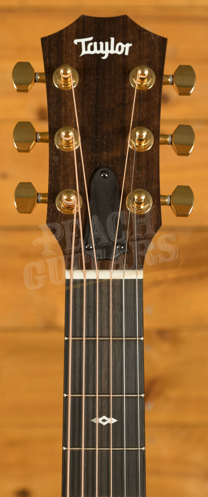 Taylor GS Mini Series | GS Mini-e VSB 50th Anniversary