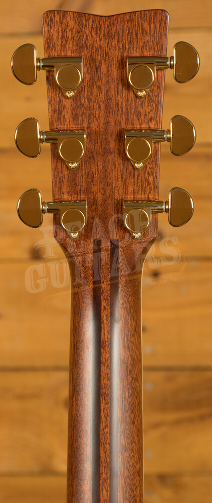 Yamaha L Series | LS16 ARE - Dark Tinted