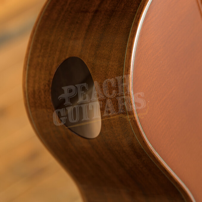 Eastman AC Series | AC522CE-GB - Goldburst