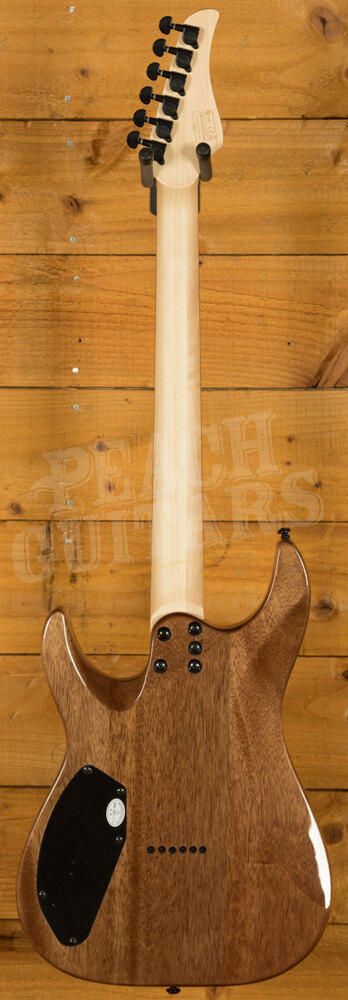 Schecter C-6 Pro | Aqua Burst