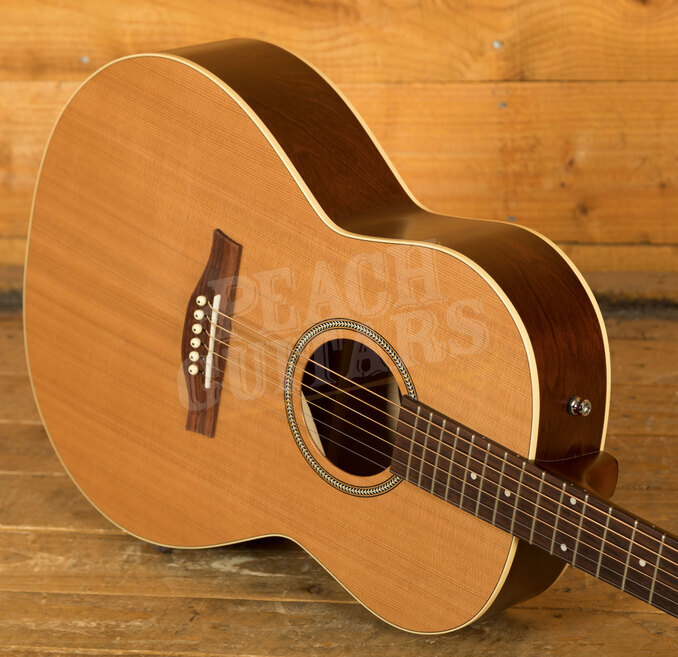 Seagull Coastline Folk Cedar - Used