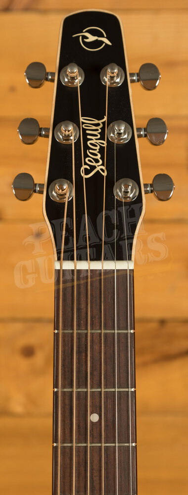 Seagull Coastline Folk Cedar - Used