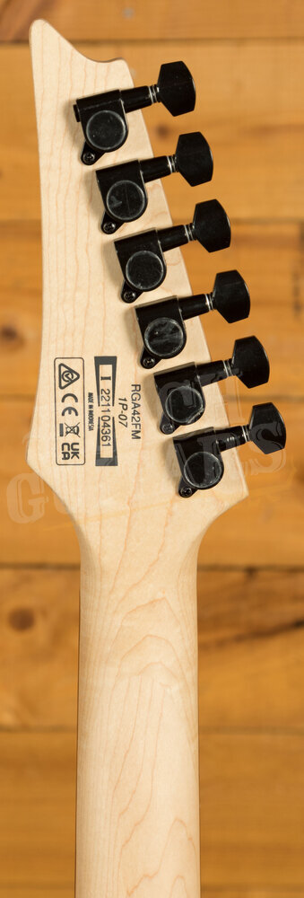 Ibanez RGA Standard | RGA42FM - Blue Lagoon Burst Flat