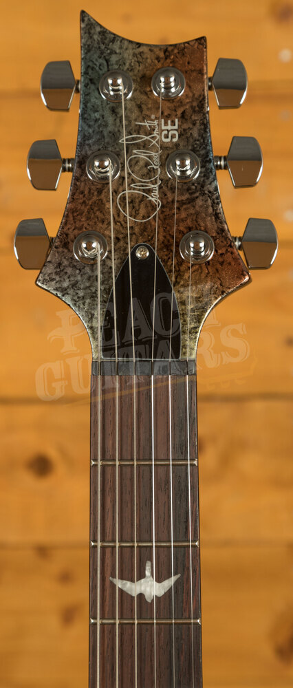 PRS SE Standard 24 - Multi Foil