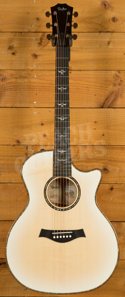 Taylor Custom | Custom #22: Grand Auditorium