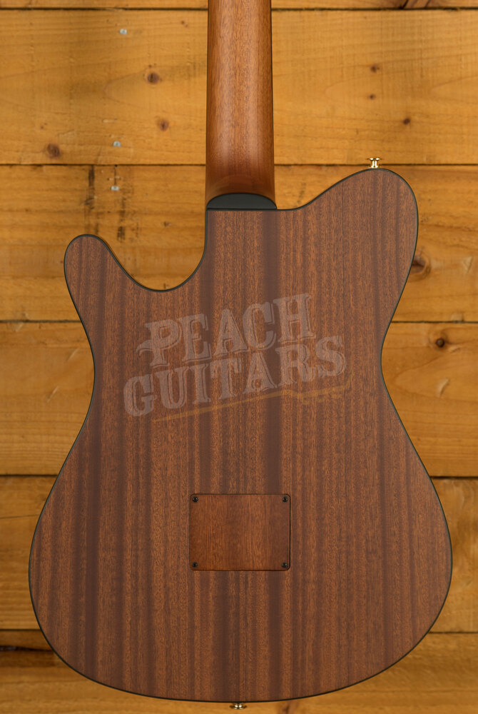 Ibanez FRH Acoustic Guitars | FRH10N - Electro-Nylon - Natural Flat