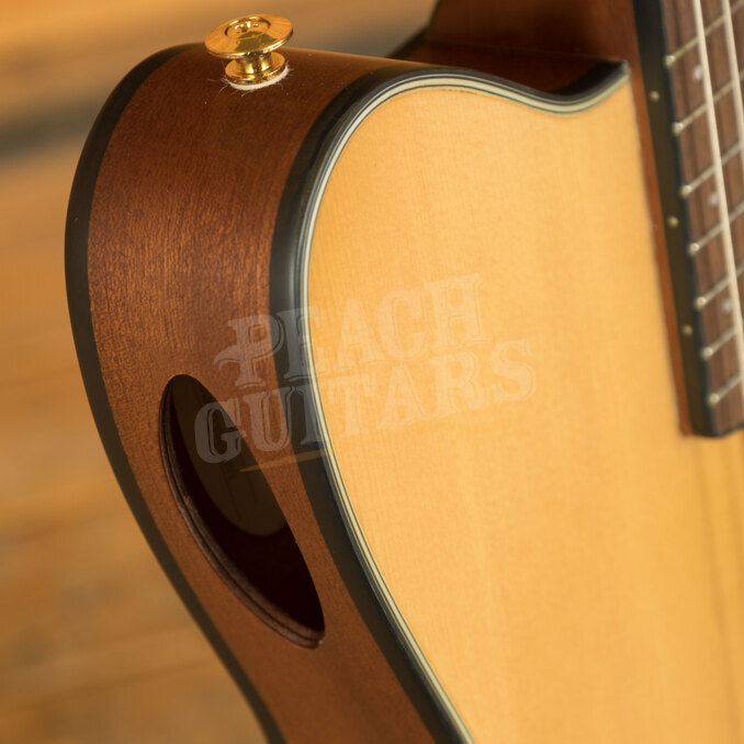 Ibanez FRH Acoustic Guitars | FRH10N - Electro-Nylon - Natural Flat