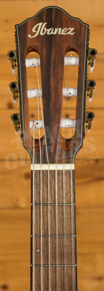 Ibanez FRH Acoustic Guitars | FRH10N - Electro-Nylon - Natural Flat