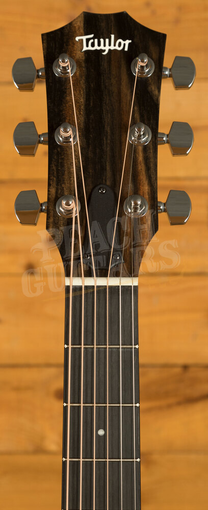 Taylor 100 Series | 114ce-SB Special Edition