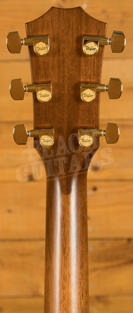 Taylor 300 Series | 314ce 50th Anniversary