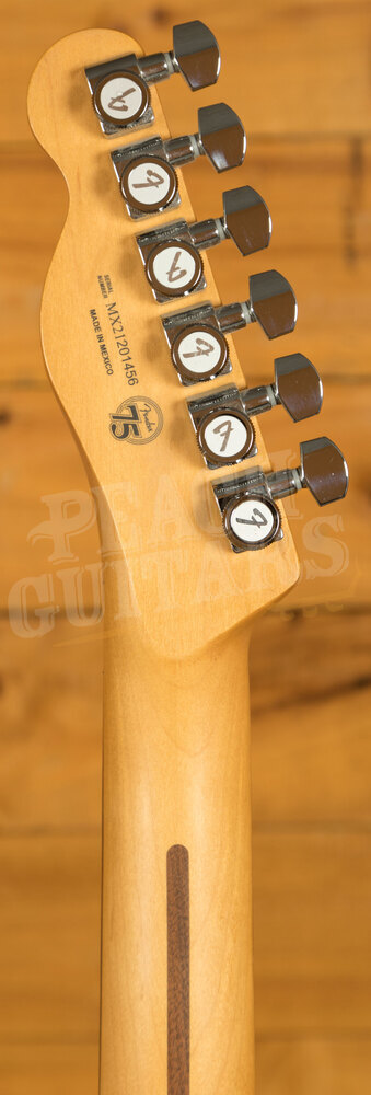 Fender Player Plus Tele Pau Ferro Silver Smoke