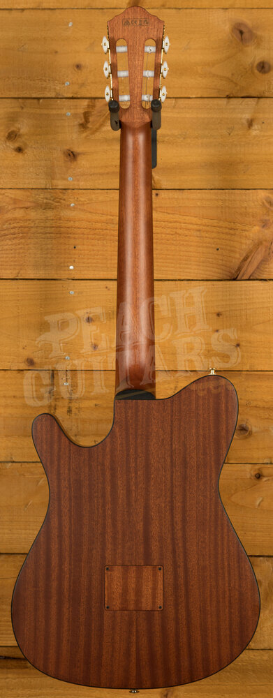 Ibanez FRH Acoustic Guitars | FRH10N - Electro-Nylon - Brown Sunburst Flat
