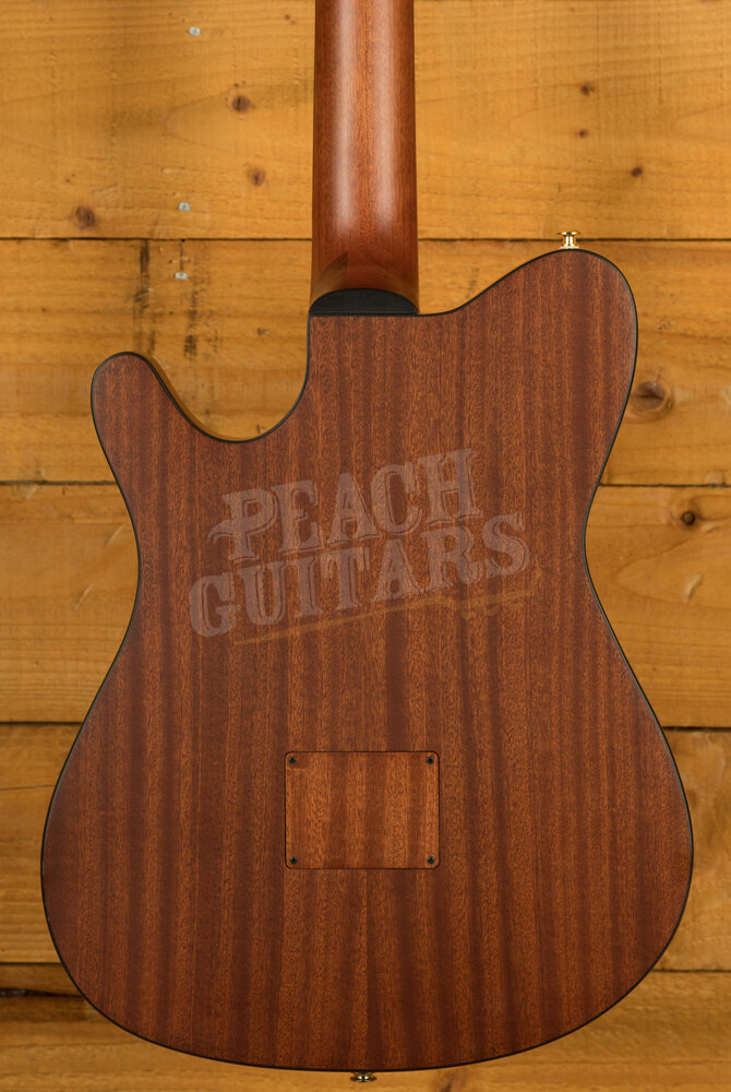 Ibanez FRH Acoustic Guitars | FRH10N - Electro-Nylon - Brown Sunburst Flat