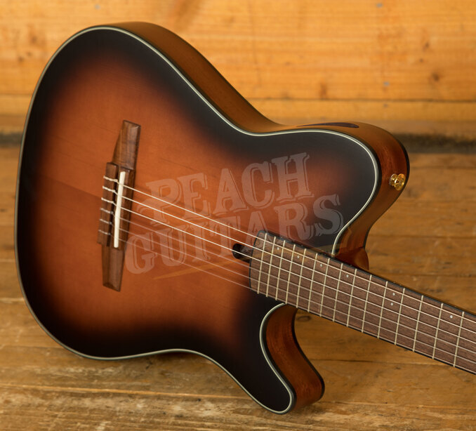Ibanez FRH Acoustic Guitars | FRH10N - Electro-Nylon - Brown Sunburst Flat