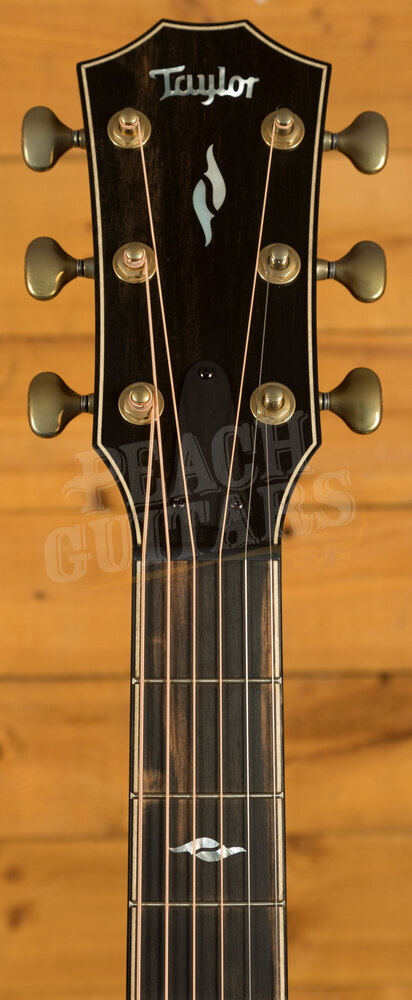 Taylor 800 Series | Builder's Edition 814ce
