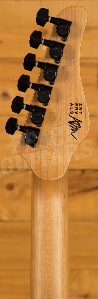 Schecter Aaron Marshall AM-6 | Royal Sapphire