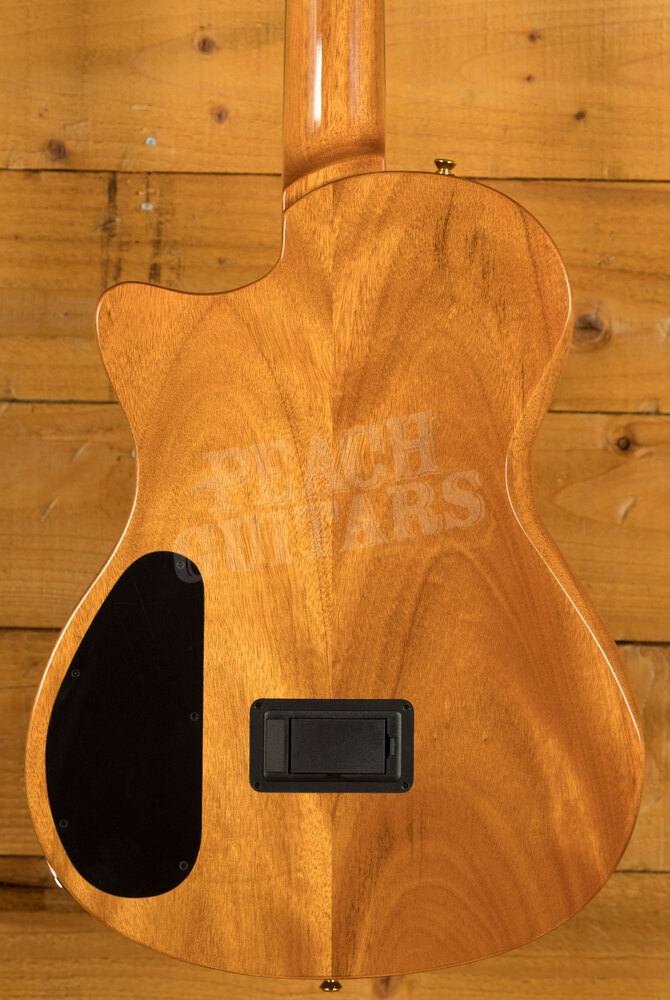 Cordoba Fusion Stage Guitar | Electro - Garnet