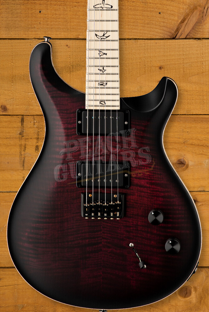 PRS Dustie Waring CE 24 Hardtail Limited Edition - Waring Burst
