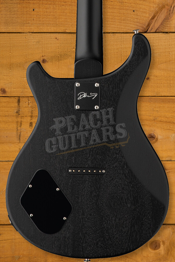 PRS Dustie Waring CE 24 Hardtail Limited Edition - Grey Black