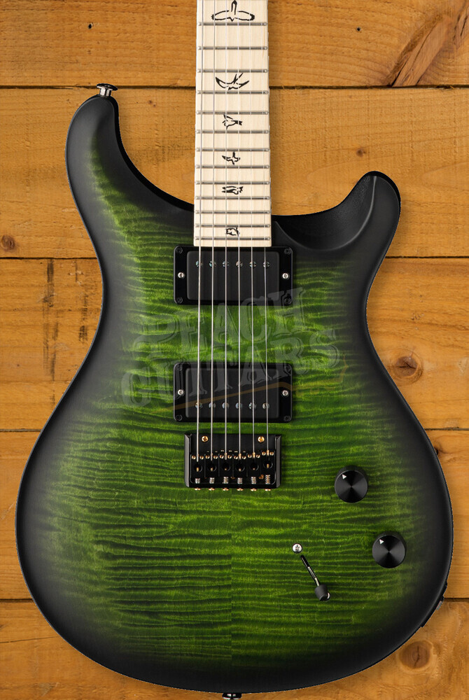 PRS Dustie Waring CE 24 Hardtail Limited Edition - Jade Smokeburst